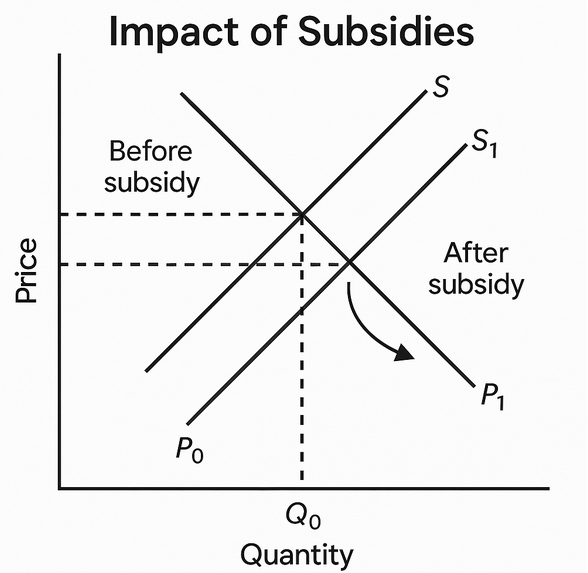 Government Intervention in Markets | Revision World